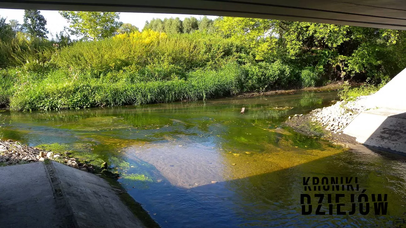 Smród, brud i zatrute rzeki. Tak naprawdę wyglądała ekologia w PRL